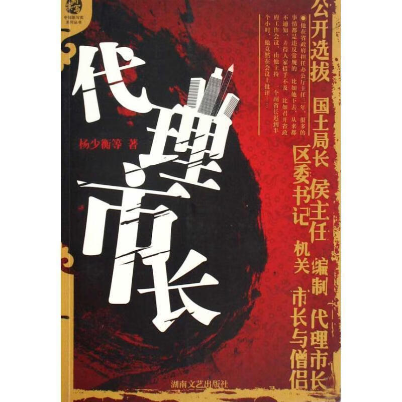 代理市长 杨少衡等 著