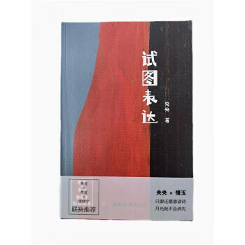 试图表达 9787557028039 广东旅游出版社 央央