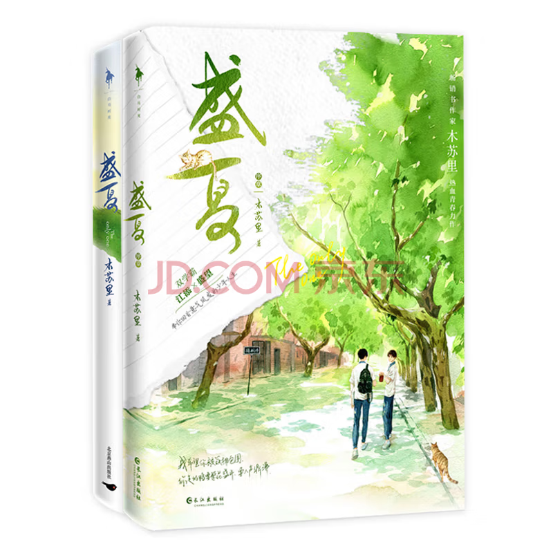 【速发】盛夏某某实体书全套三册无删减木苏里实体书晋江校园青春言情耽美小说 耽美青春言情小说高质量/完整 某某上中下随机一本