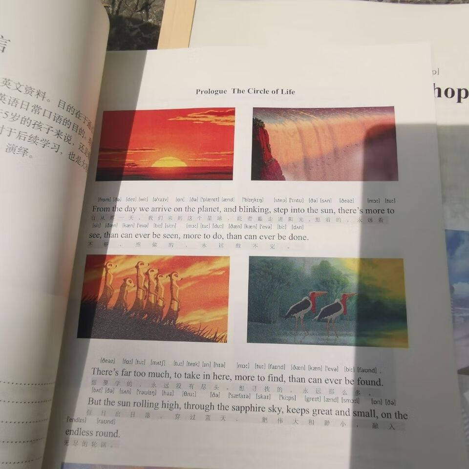狮子王 加彩图 加 加中文共一本,72页。