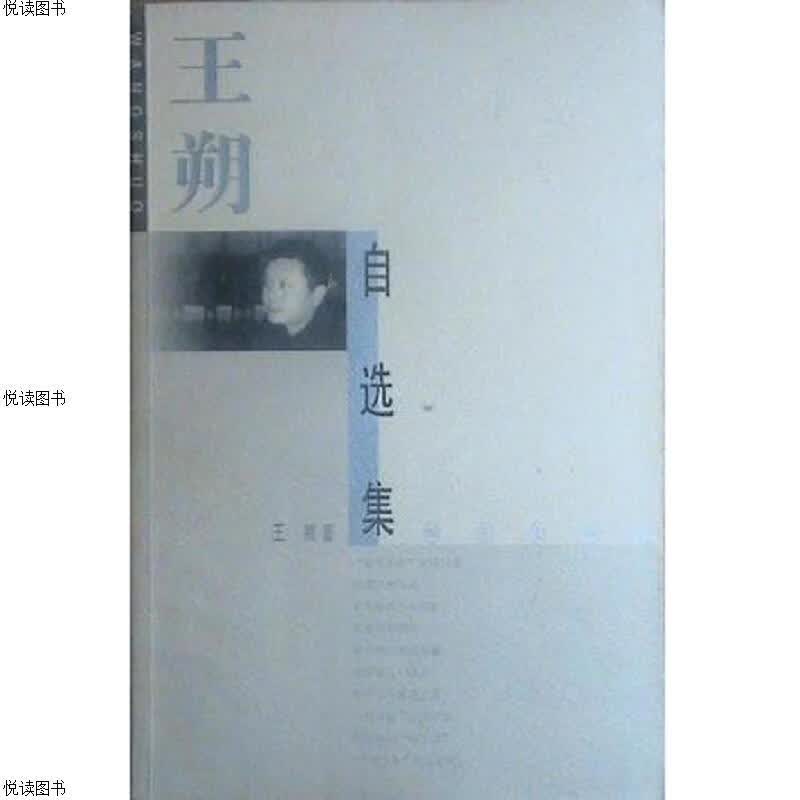 王朔自选集