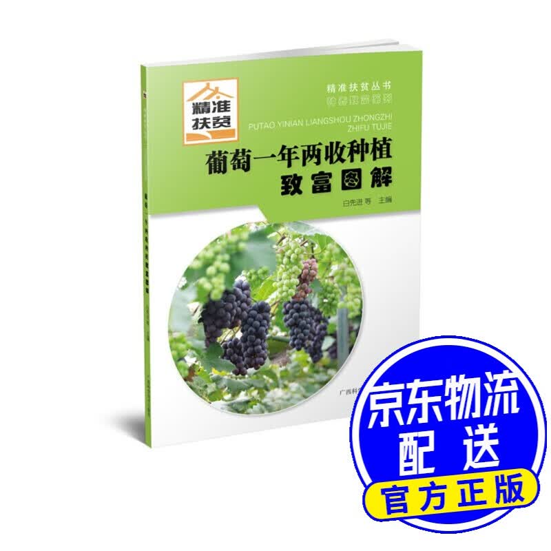 葡萄一年两收种植致富图解