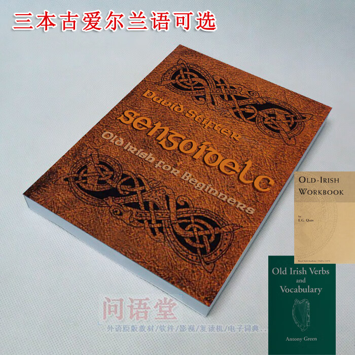 古爱尔兰语入门教材Old Irish Beginners &Workbook&Vocabulary ForBeginners