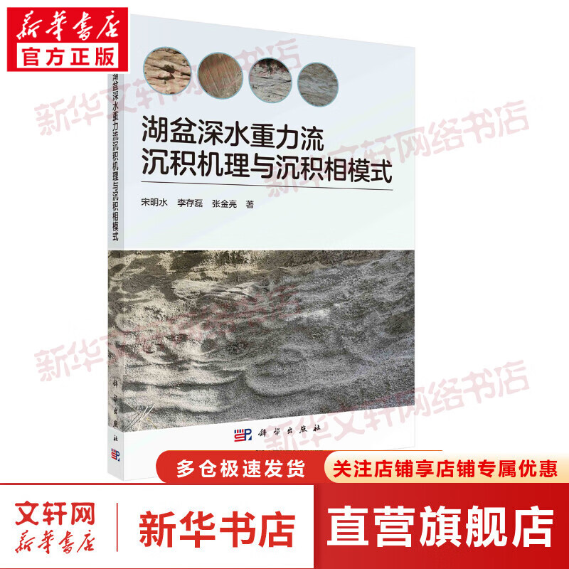 湖盆深水重力流沉积机理与沉积相模式 图书