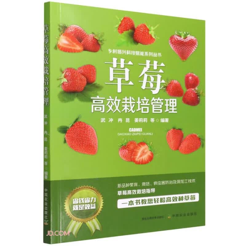 草莓高效栽培管理/乡村振兴科技赋能系列丛书