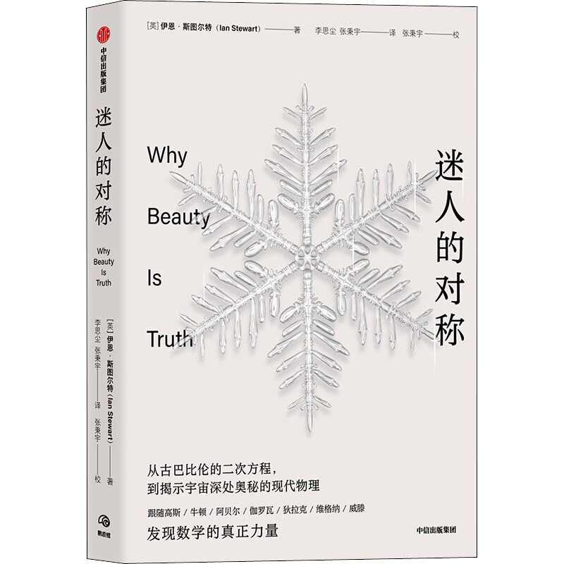 迷人的对称 图书