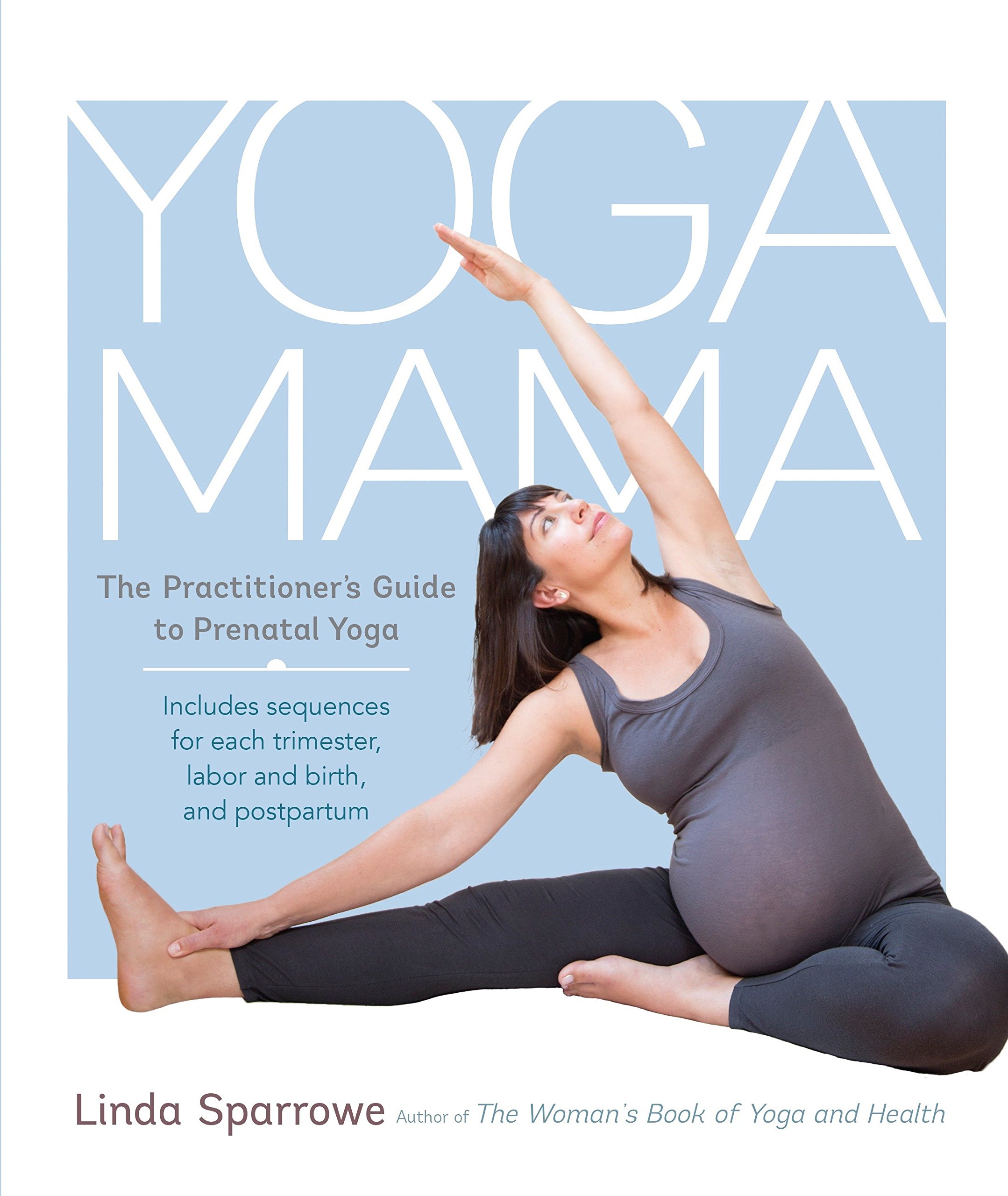 Yoga Mama: The Practitioner’s Guide to