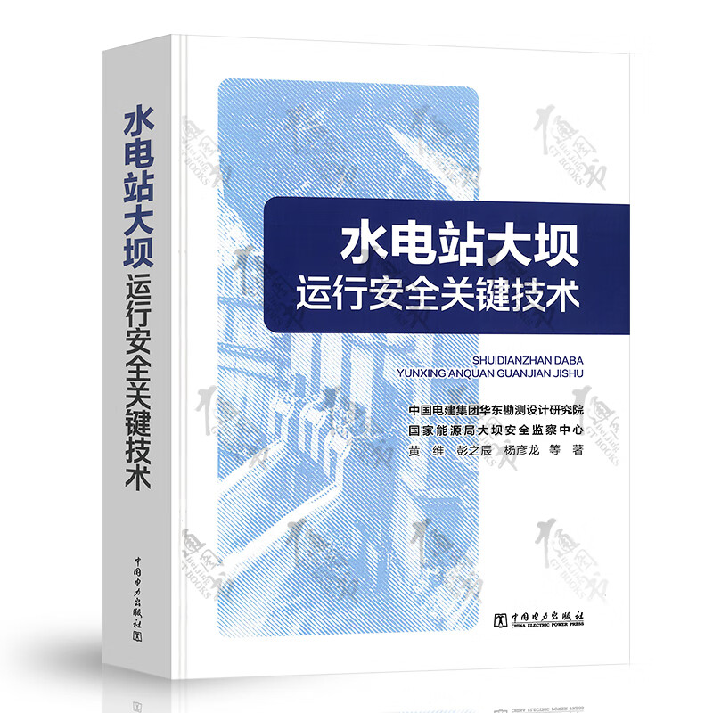 2023年新书 水电站大坝运行安全关键技术 中国电建集团华东勘测设计研究院 国家能源局大坝安全监察中心 中国电力出版社