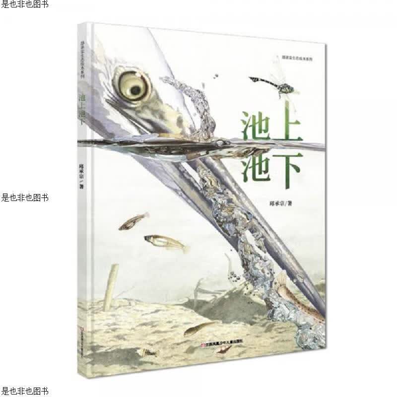 首届丰子恺优秀儿童图画书*绘本：池上池下(随书附赠蜻蜓观察笔记