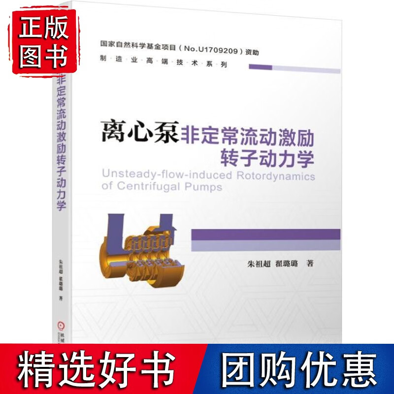 离心泵非定常流动激励转子动力学