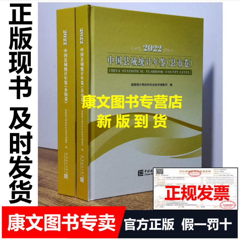 2023年【新品】2022中国县域统计年鉴2022（乡镇卷 县市卷） 2022中国县域统计年鉴
