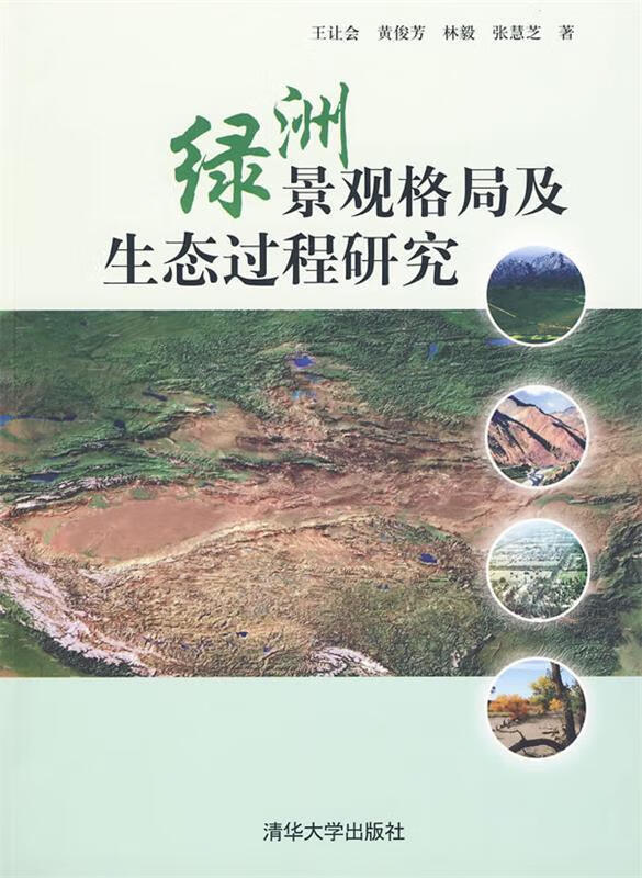 绿洲景观格局及生态过程研究 王让会 等著