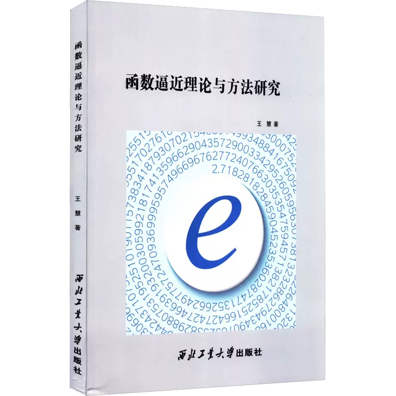函数逼近理论与方法研究 书籍