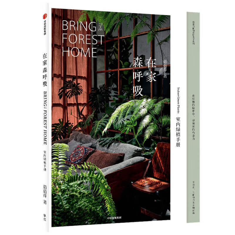 在家森呼吸 室内绿植手册 绿植 家居风格 室内设计 生活美学 自然 手作