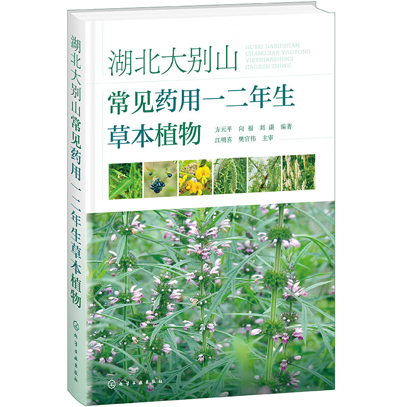 湖北大别山常见药用一二年生草本植物