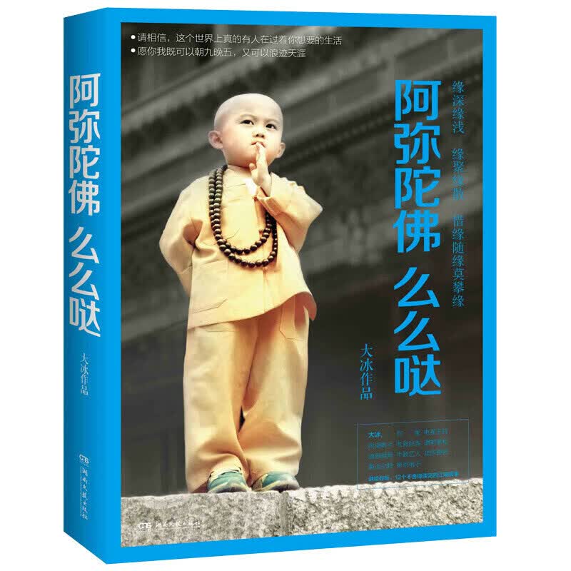 保重大冰作品全集啊2.0乖摸摸头小孩你坏好吗好的阿弥陀佛么么哒大冰的书暖心故事短篇小说于有情处知 阿弥陀佛么么哒