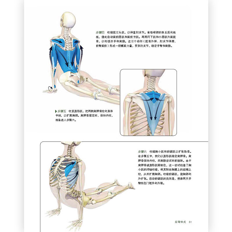 后浪现货 精准瑜伽解剖书3 身体后弯及扭转体式驼背帮助提臀锻炼腹肌书籍