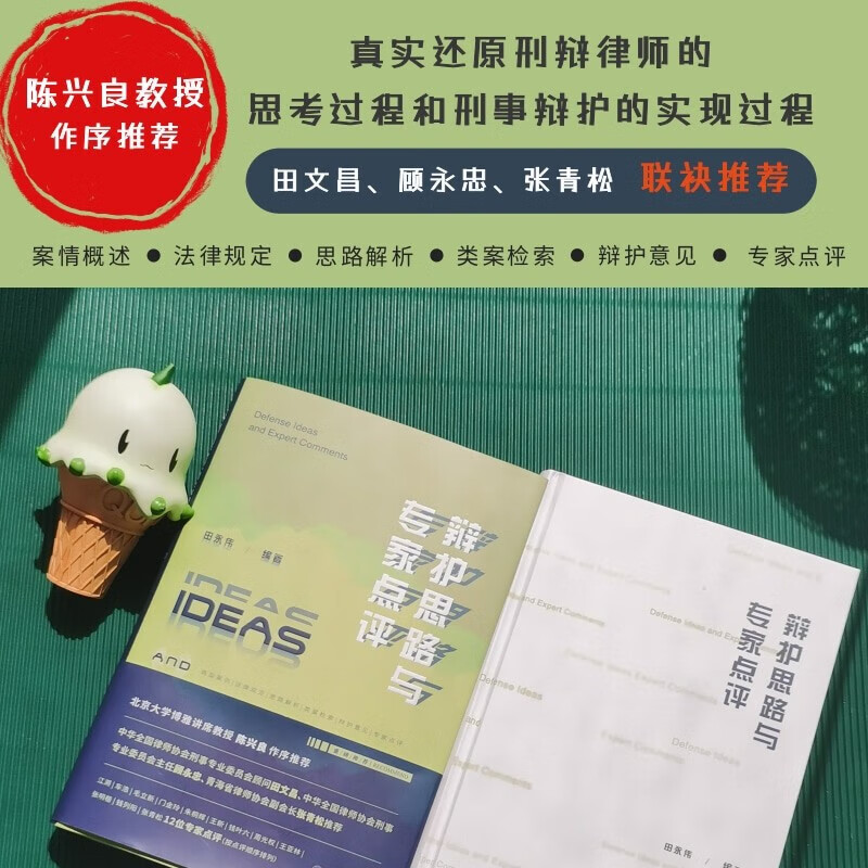 2023新书 辩护思路与专家点评 田永伟 编著 陈兴良作序 张明楷 周光权 车浩老师 等 点评 北京大学出版社 31个典型案例 危险驾驶 骗取贷款 非法吸收公众存款伪造证据行贿等类案件