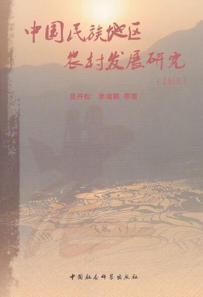 中国民族地区农村发展研究2010