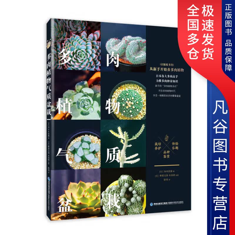 【书】多肉植物气质盆栽
