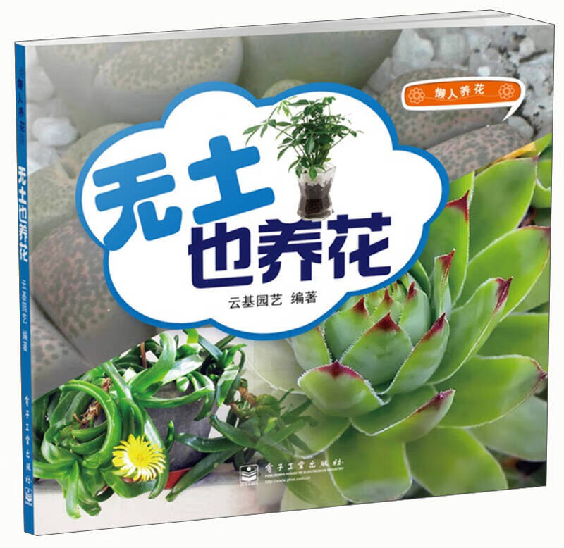 无土也养花【好书】