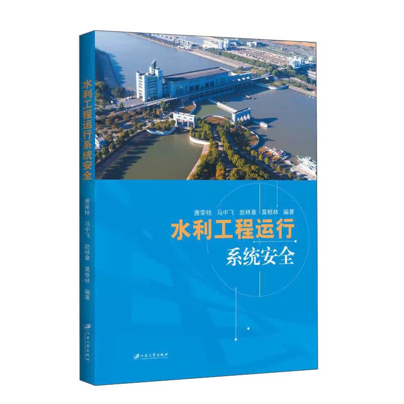 水利工程运行系统安全