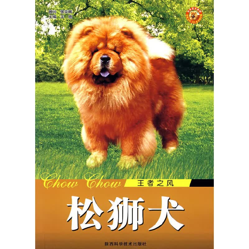 松狮犬 王者之风