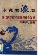 未竟的浪潮现代科学技术革命与社会发展