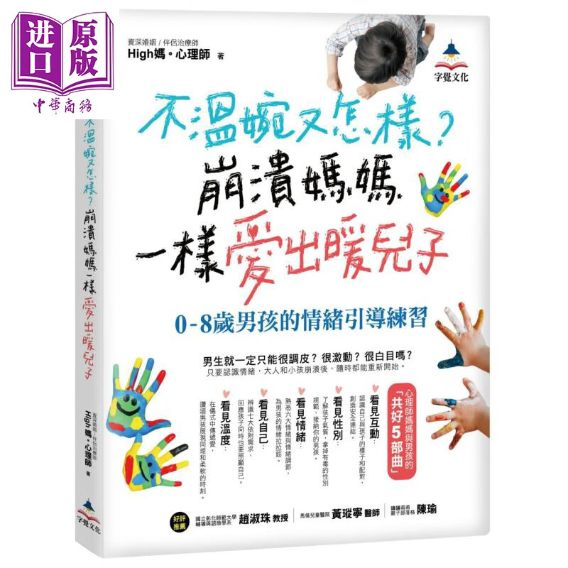 不温婉又怎样 崩溃妈妈一样爱出暖儿子0-8岁男孩的情绪引导练习 台版 High妈 亲子教养 生活教养