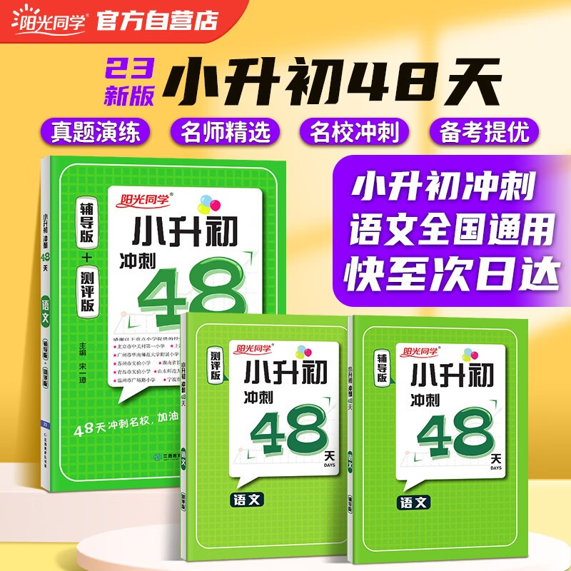 阳光同学 2023春小升初冲刺48天语文 小升初知识大盘点专项训练人教通用版 小学毕业升学总复习资料测试题教材辅导书