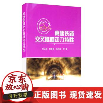 【直发】 高速铁路交叉隧道动力特性 朱正国,韩智铭,杨利海等 著 9787030604361 科