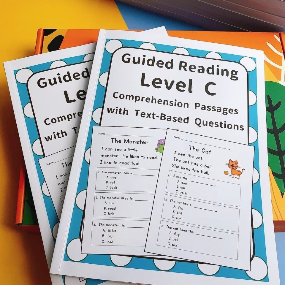指导性理解Guided Reading点读版练习册1-3级Level CLevel D