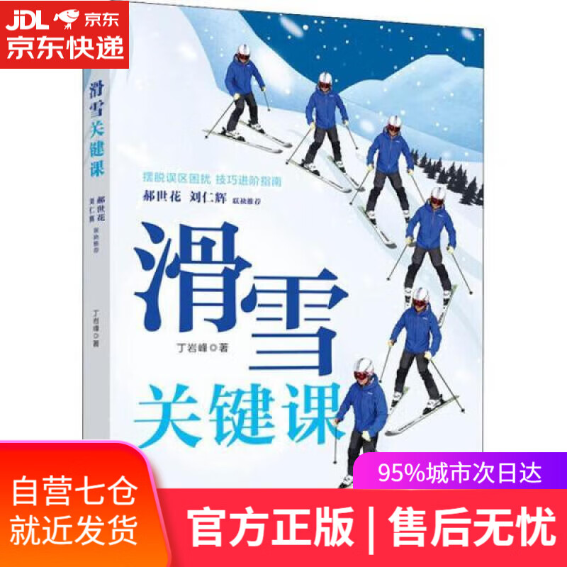 滑雪关键课 丁岩峰 中国轻工业出版社有限公司