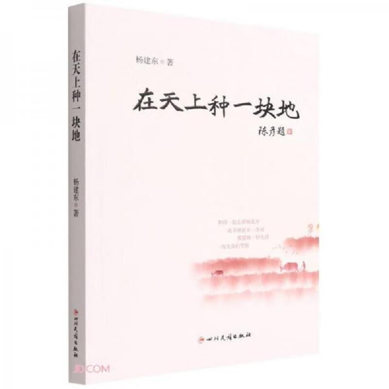 在天上种一块地 杨建东 四川民族出版社 9787573305497