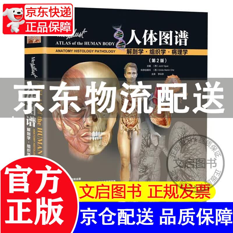 人体图谱：解剖学·组织学·病理学（第2版） 〔西〕Jordi Vigue 著,李云庆 主译 河南科学