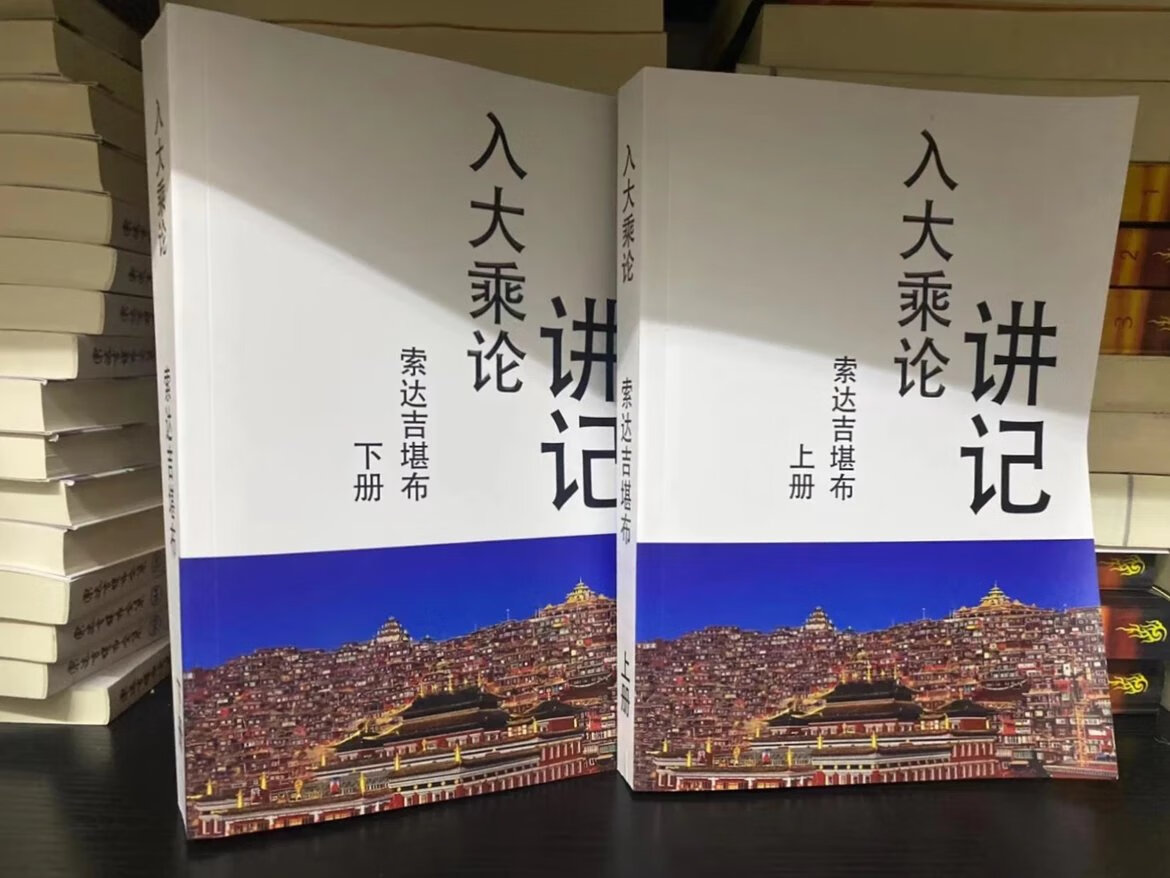 【入大乘论讲记】上下册 一套两本 索师  16开大厚本