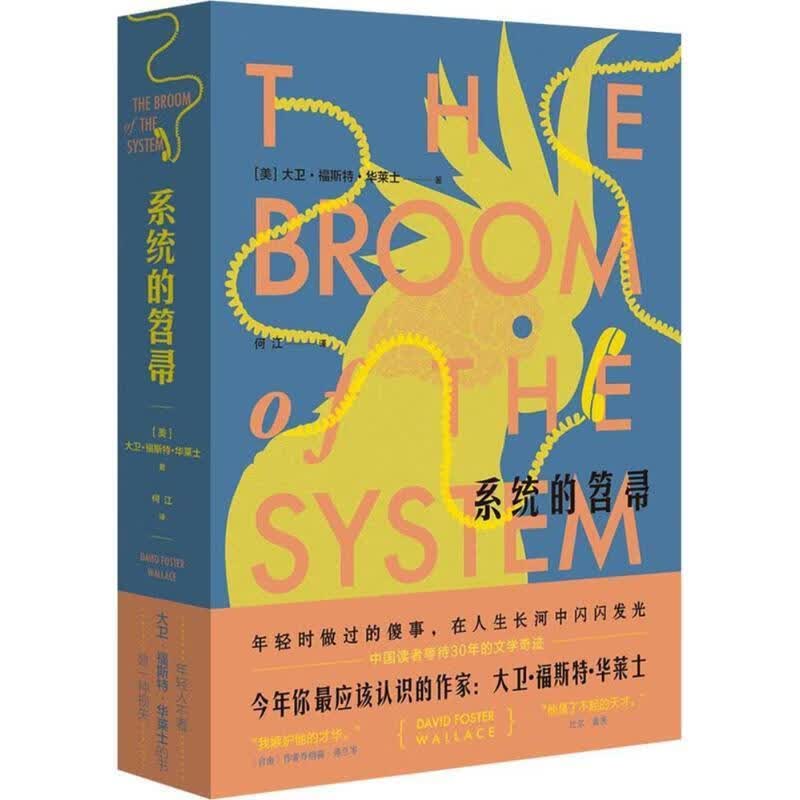 系统的笤帚【好书，下单速发】