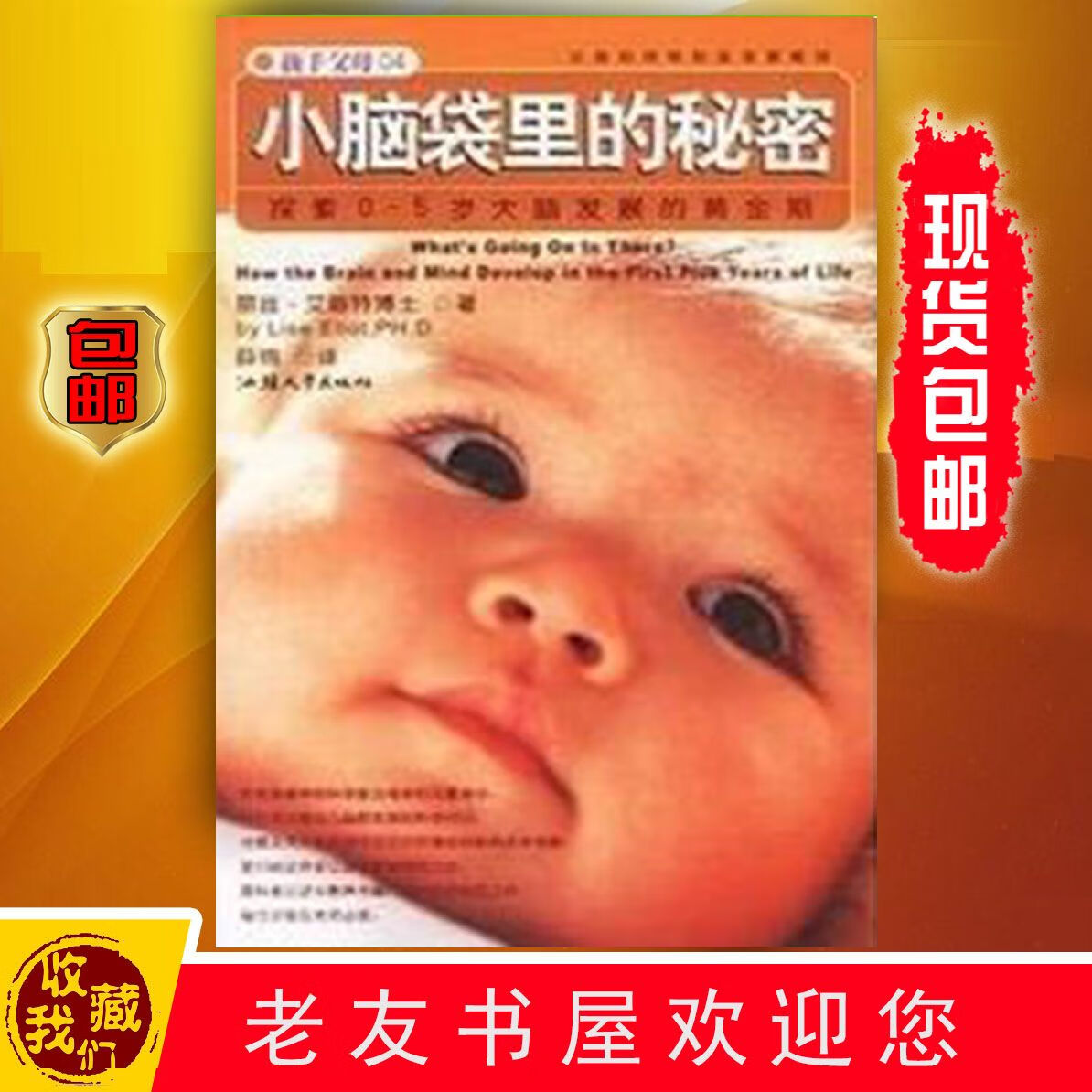 小脑袋里的秘密