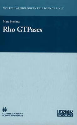 Rho GTPases