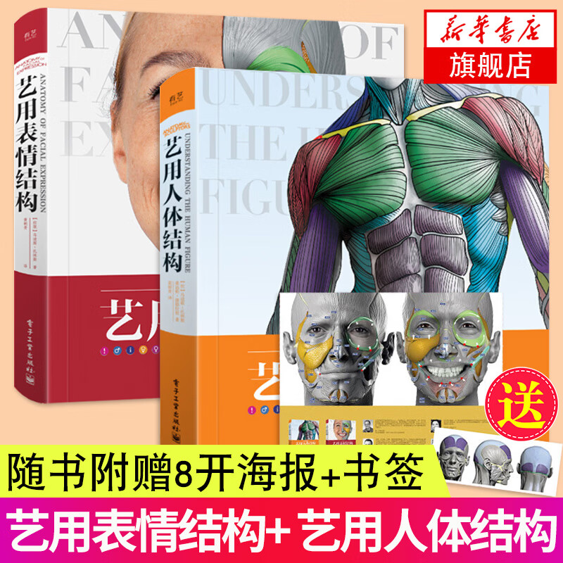 艺用表情结构+艺用人体结构 精装版全彩理解人体形态 人体面部表情结构教学书籍 骨骼肌肉造型解剖学基础