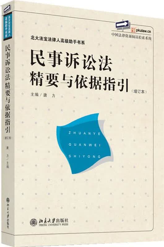 民事诉讼法精要与依据指引
