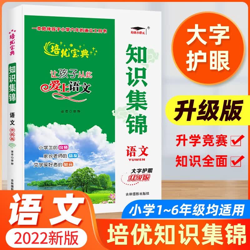 2023新版小学语文知识集锦大字护眼升级版 大字护眼 小升初知识大集结培优宝典爱上语文小学生四五六年级重点知识集锦基础知识大全 【知识集锦】语文（升级版）