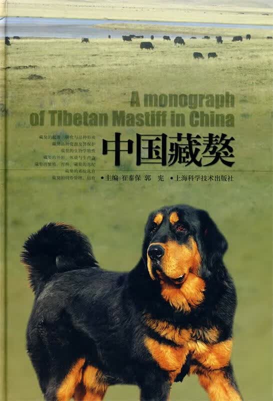 中国藏獒【，放心购买】