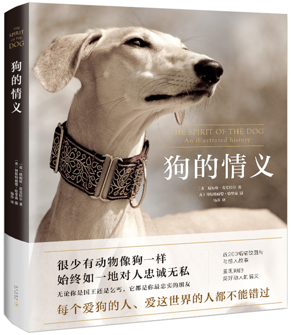 狗的情谊（精装） A3-03-1-1~9787513332620