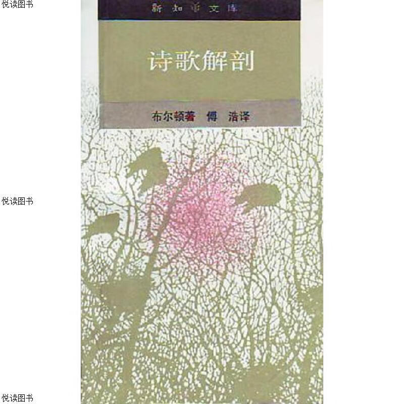 诗歌解剖
