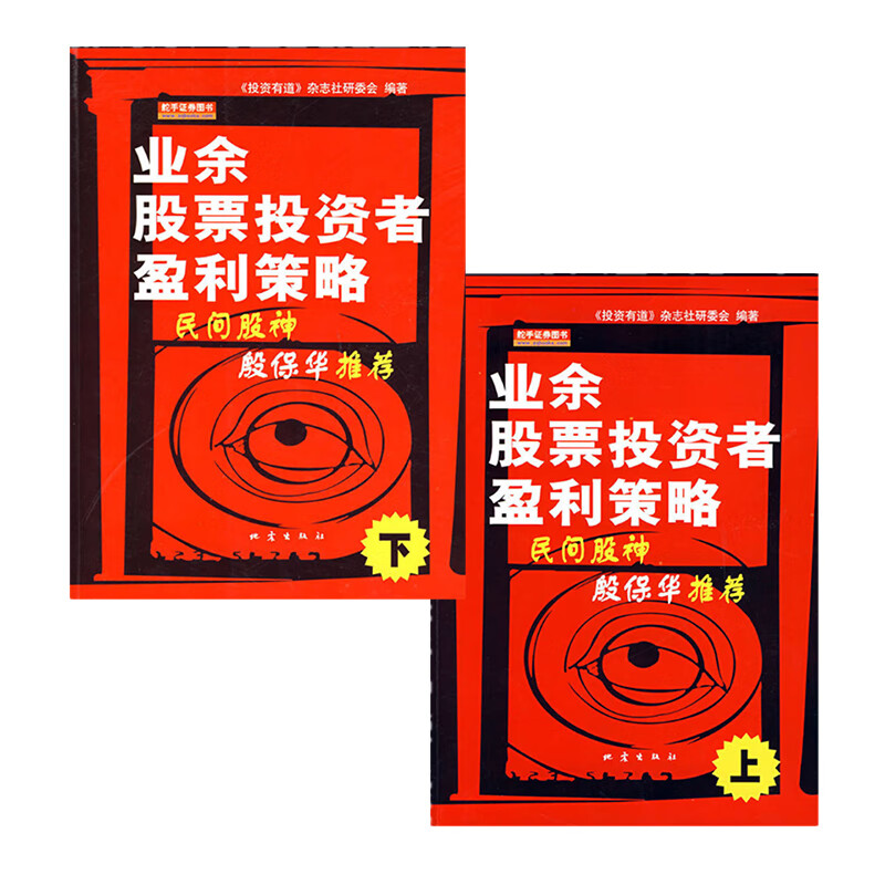 业余股票投资者盈利策略 上下册 民间股神殷保华 证券投资顾问 期货投资分析 证券投资基金 投资