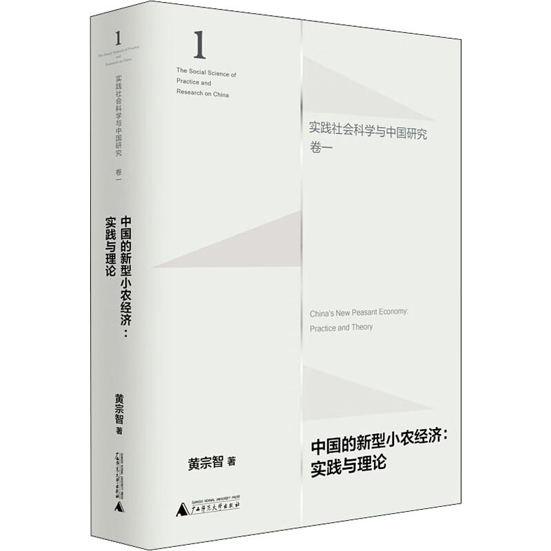 中国的新型小农经济:实践与理论