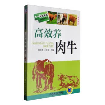 现货:高效养殖致富直通车:高效养肉牛(双色印刷) 魏刚才,王岩保 9787111483755