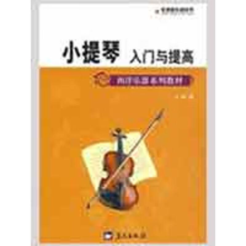 小提琴入门与提高 王皓 著