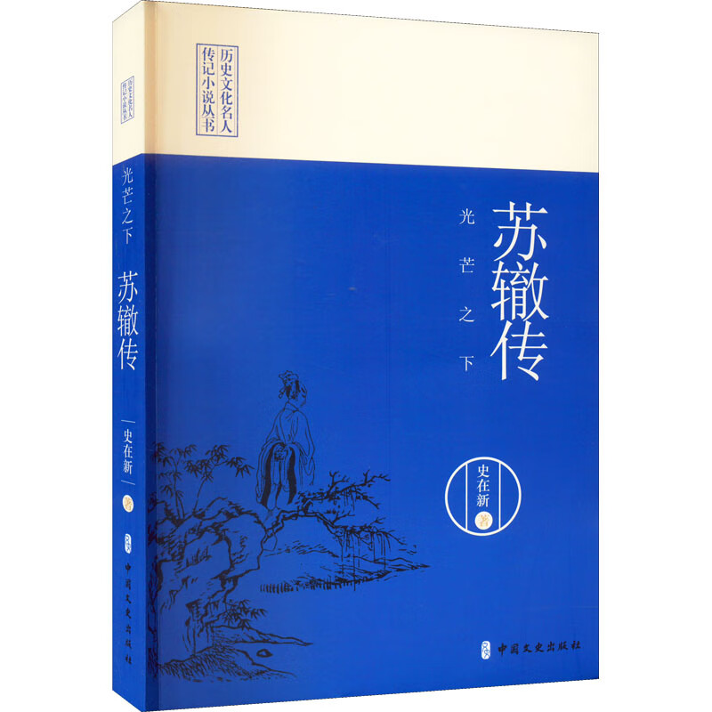 光芒之下 苏辙传 图书